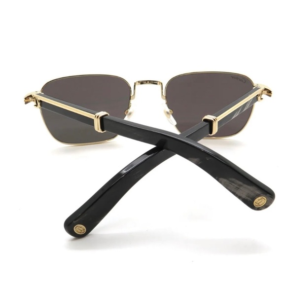 Cartier | Accessories | Cartier Buffs Ct363s 00 Goldblack Buffalo Horn ...